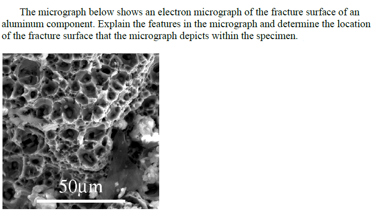 Solved The micrograph below shows an electron micrograph of | Chegg.com