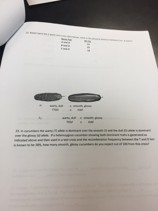Solved Based upon the 2 point test cross data below, what is | Chegg.com