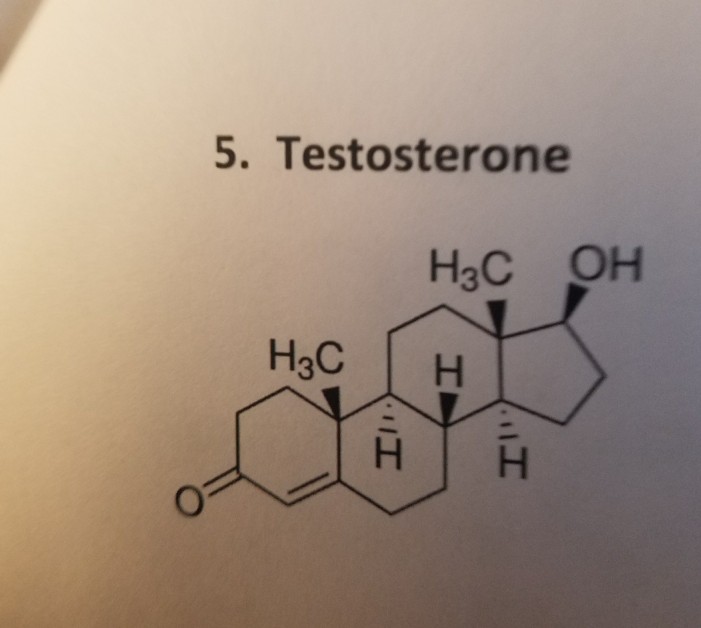 Solved draw all possible metabolic phase 1 &phase 2 pathways | Chegg.com