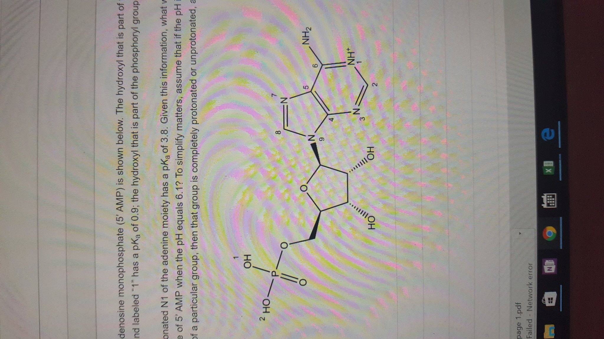 Solved The compound 5? adenosine monophosphate (5? AMP) is | Chegg.com