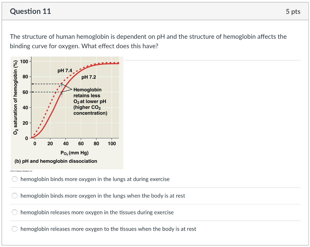 Solved Question 11 5 pts The structure of human hemoglobin | Chegg.com