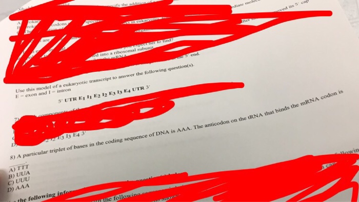 Solved A particular triplet of bases in the coding sequence | Chegg.com