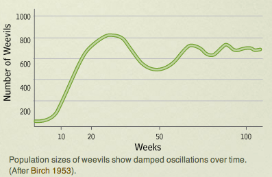 Solved ECOLOGY: Q1.If the boll weevil population on the | Chegg.com