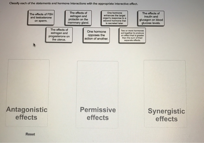 Solved Classify each of the statements and hormone | Chegg.com
