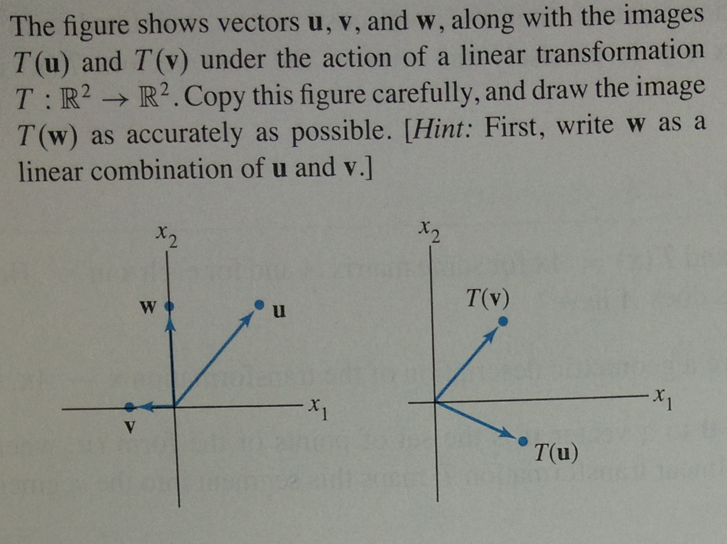 Solved The figure shows vectors u, y, and w, along with the | Chegg.com