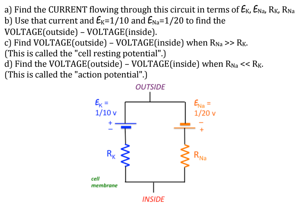 Solved Find the CURRENT flowing through this circuit in | Chegg.com