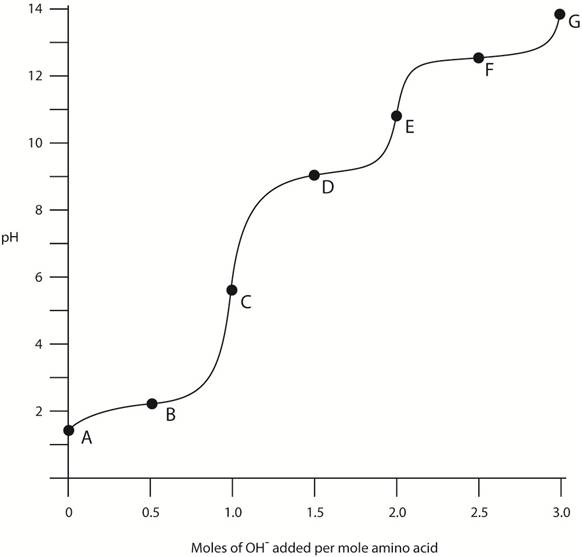Solved Some key points in this titration curve of an amino | Chegg.com