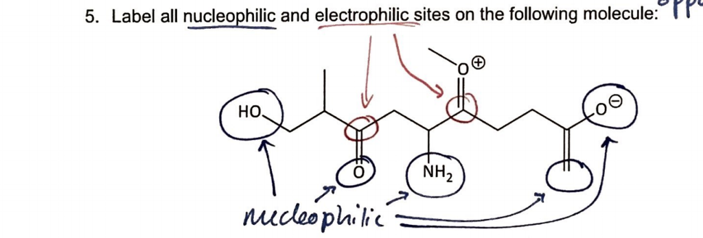 Solved What makes the sites nucleophilic | Chegg.com