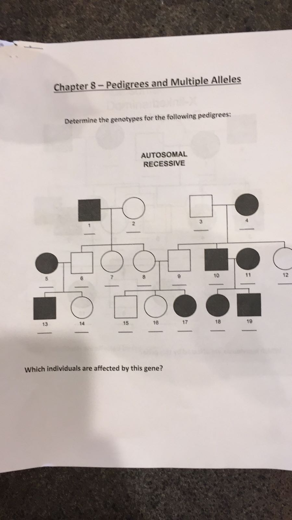 Solved Chapter 8- Pedigrees and Multiple Alleles Determine | Chegg.com Solved Chapter 8- Pedigrees and Multiple Alleles Determine | Chegg.com
