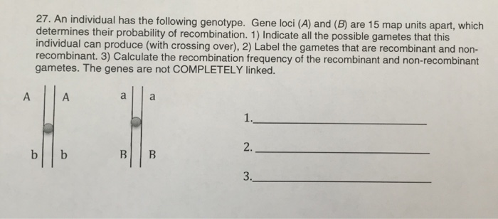 Solved Is the first part correct and how do you do the | Chegg.com