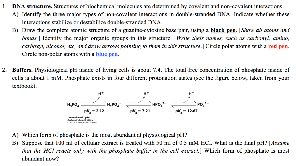 Solved DNA structure. Structures of biochemical molecules | Chegg.com