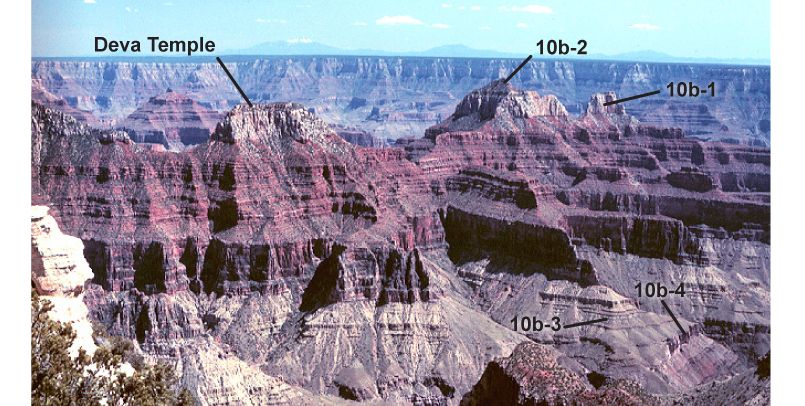 Using the photographs of the four rock samples on the | Chegg.com