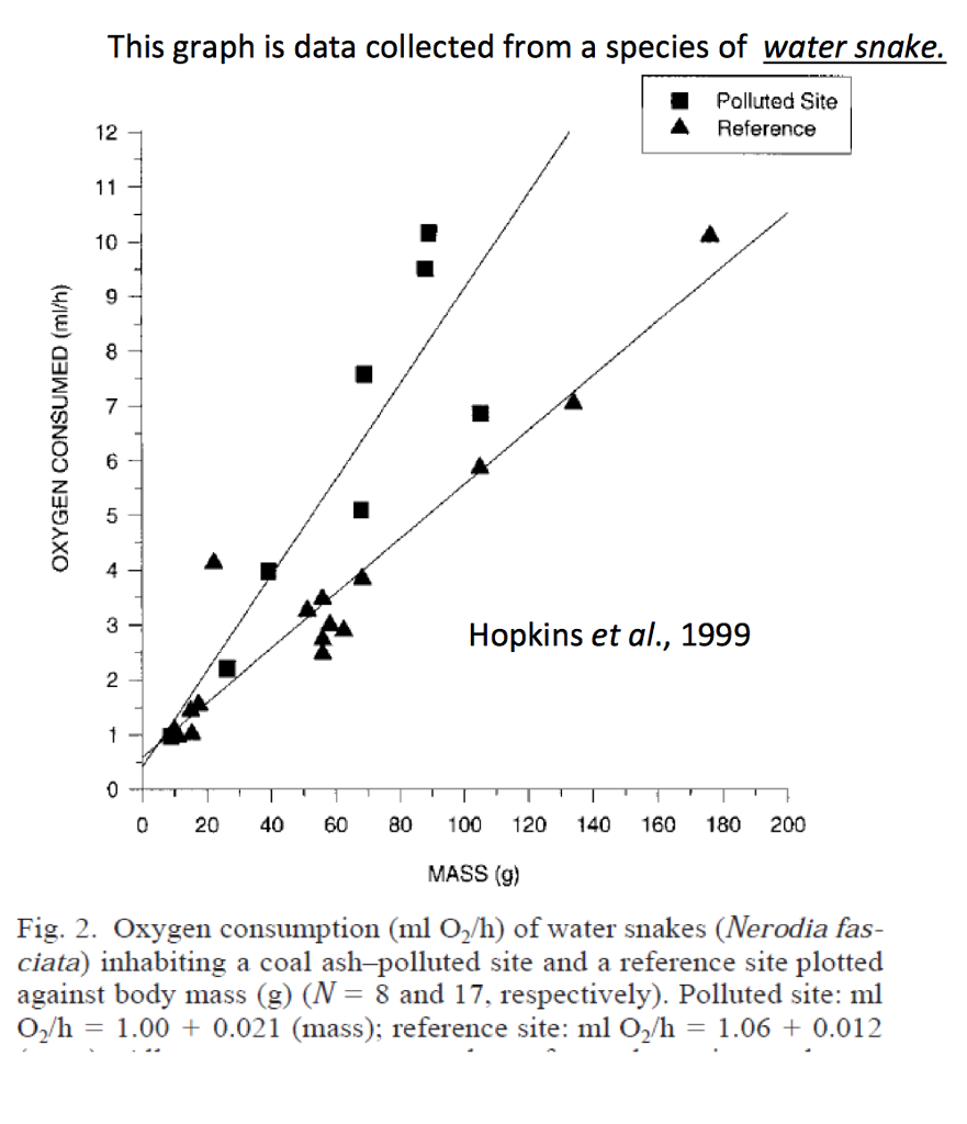 Solved This graph is data collected from a species of water | Chegg.com