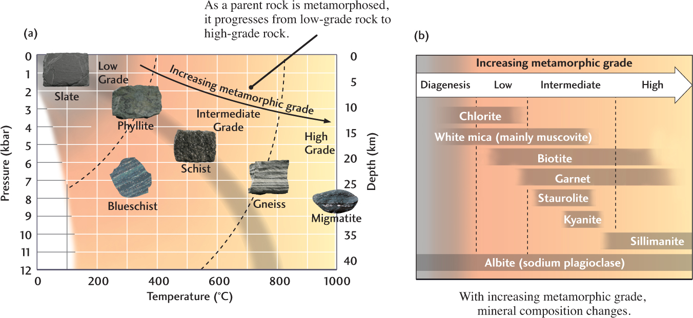Solved What set of conditions could be possible | Chegg.com