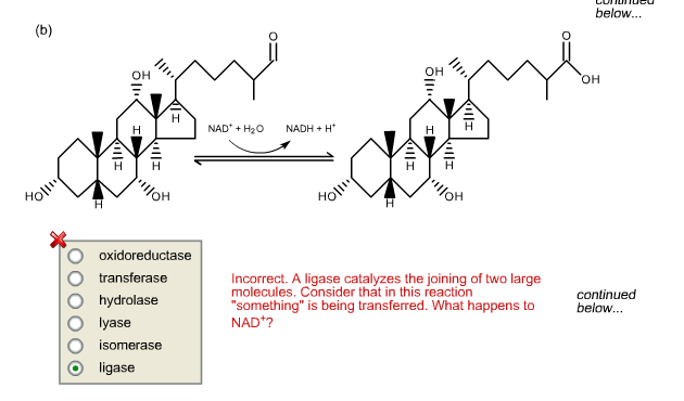 Solved For the enzymatically catalyzed reactions shown | Chegg.com
