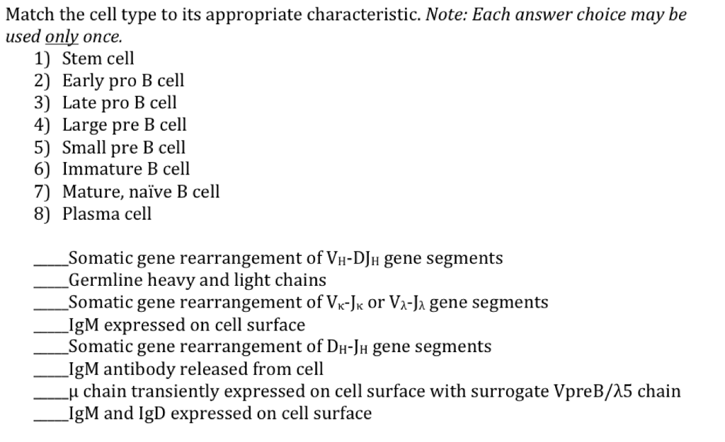 Solved Match the cell type to its appropriate | Chegg.com