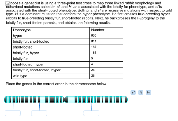 Solved Suppose a geneticist is using a three-point test | Chegg.com