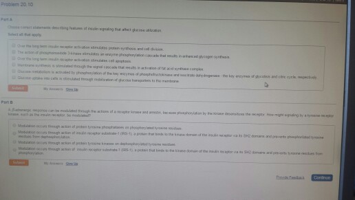 Choose The Correct Statement S