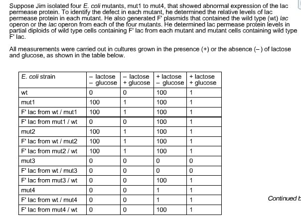 Solved Suppose Jim isolated four E. coli mutants, mut1 to | Chegg.com