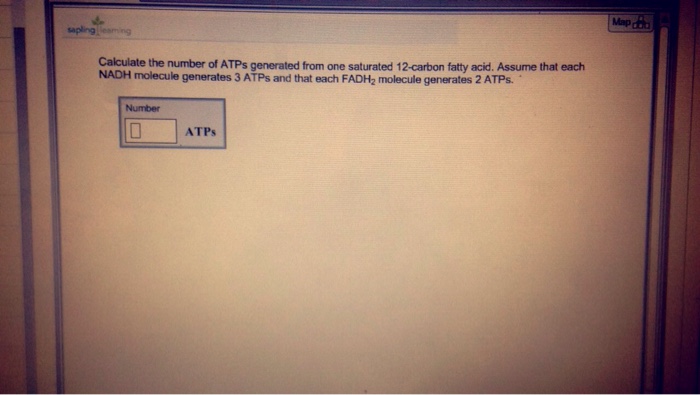 Solved Calculate the number of ATPs generated from one | Chegg.com