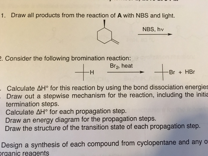 Solved Draw all products from the reaction of A with NBS and | Chegg.com