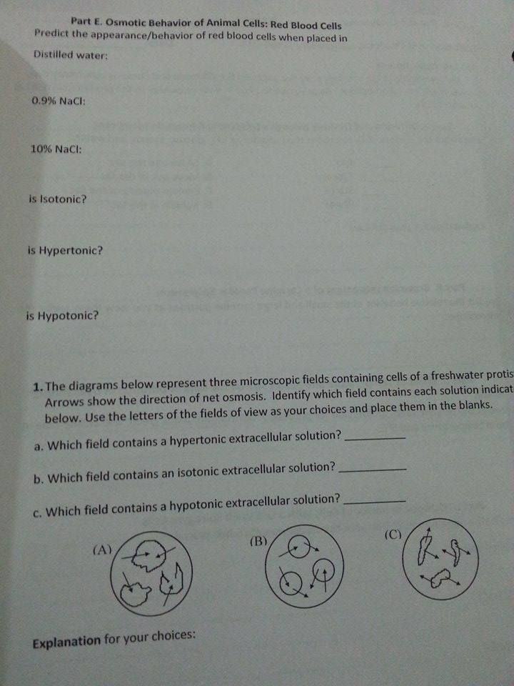 Pre-lab Assignment Before coming to lab carefully | Chegg.com