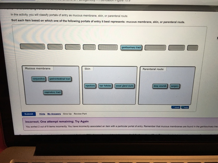 Solved In this activity, you will classify portals of entry | Chegg.com Solved In this activity, you will classify portals of entry | Chegg.com