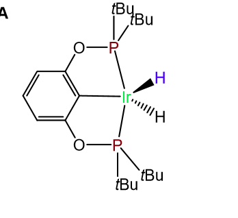 Solved O-R Ir tBu tBu | Chegg.com