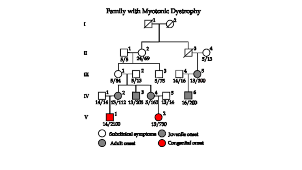 Solved Several members of a family exhibit the symptoms of | Chegg.com