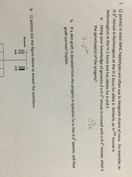 or a total orb points) F n the chart below. Class I | Chegg.com