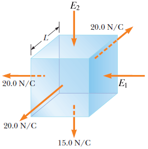 Solved Assume the magnitude of the electric field on each | Chegg.com