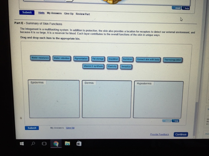 Solved The integument is a multitasking system In addition | Chegg.com