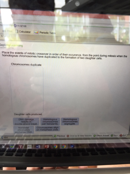 Solved Place the events of mitotic crossover in order of | Chegg.com