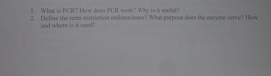 Solved What Is PCR How Does PCR Work Why Is It Useful Chegg solved-what-is-pcr-how-does-pcr-work-why-is-it-useful-chegg