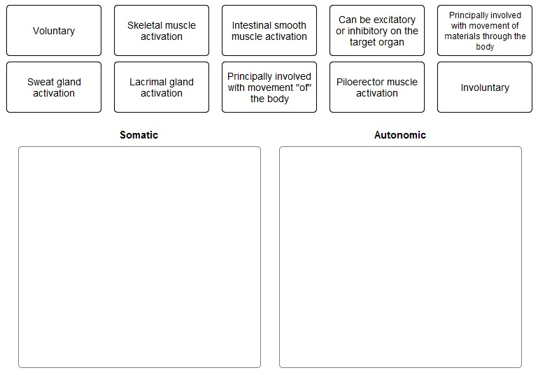 Solved Drag each of the following labels into the | Chegg.com