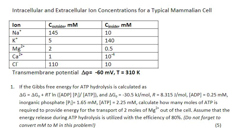 Intracellular and Extracellular Ion Concentrations | Chegg.com