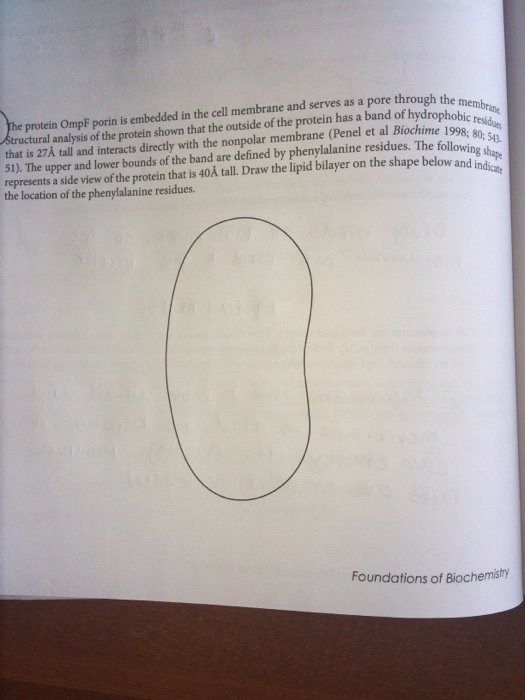 Solved The Protein Ompf Porin Is Embedded In The Cell
