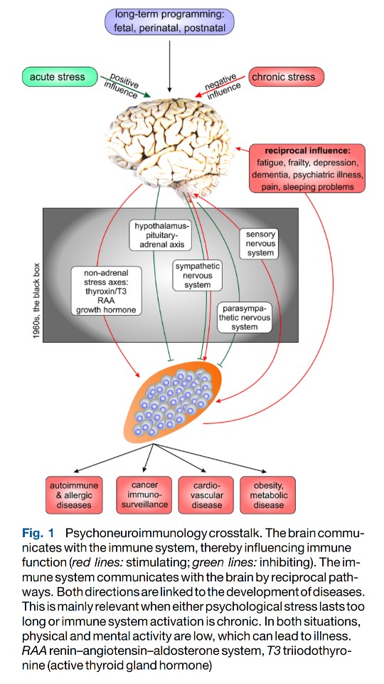 Solved erm programming fetal, perinatal, postnatal acute | Chegg.com