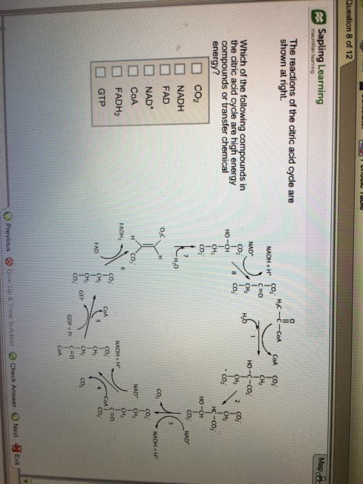 Solved Question 8 of 12 pling Learning mucmilan The | Chegg.com