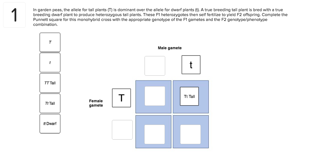 Solved In garden peas, the allele for tall plants (T) is | Chegg.com