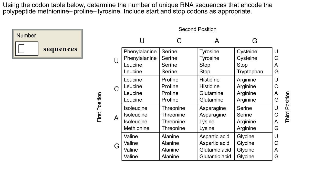 Using the codon table below, determine the number of | Chegg.com