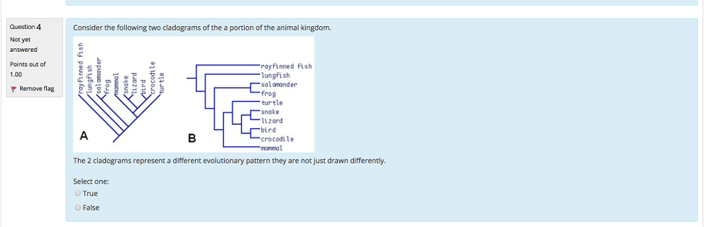 Solved Question 4 Consider the following two cladograms of | Chegg.com