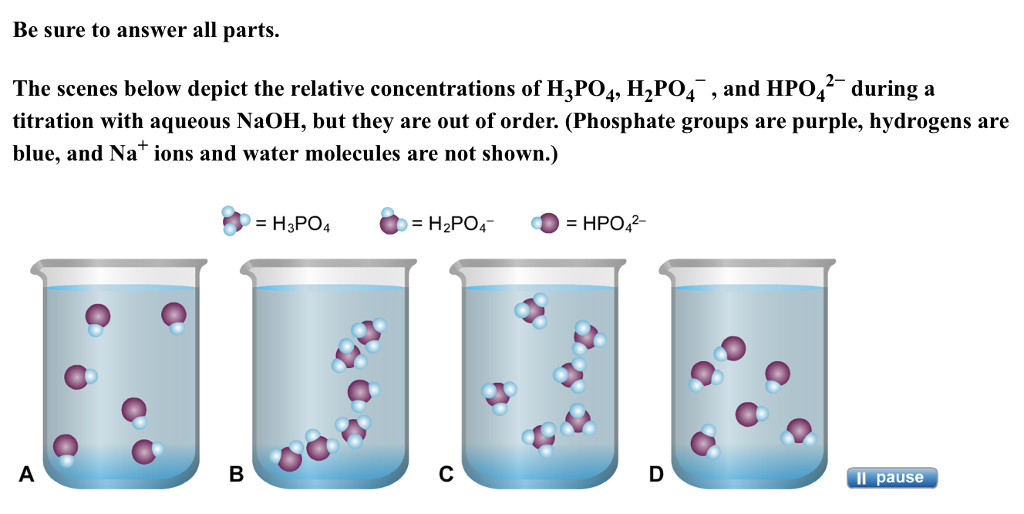 Solved Enter your answer in the provided box. Phosphate | Chegg.com