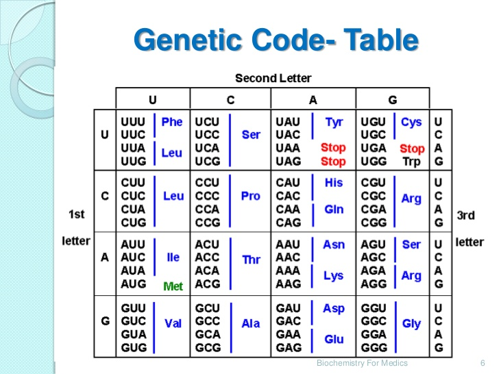 Solved (Refer to the table from the previous question) How | Chegg.com