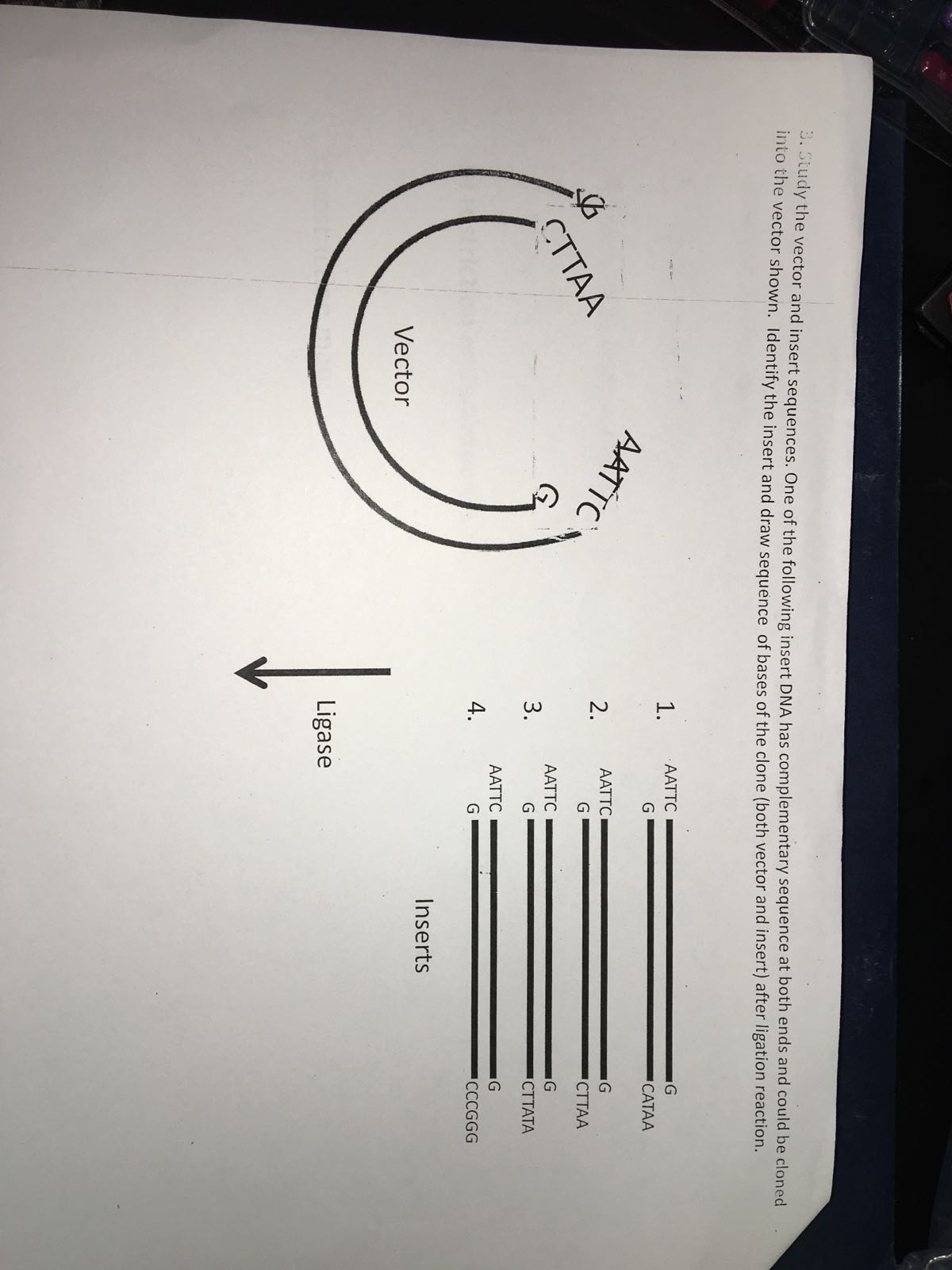 Solved 2. Write down the number of fragments that will be | Chegg.com