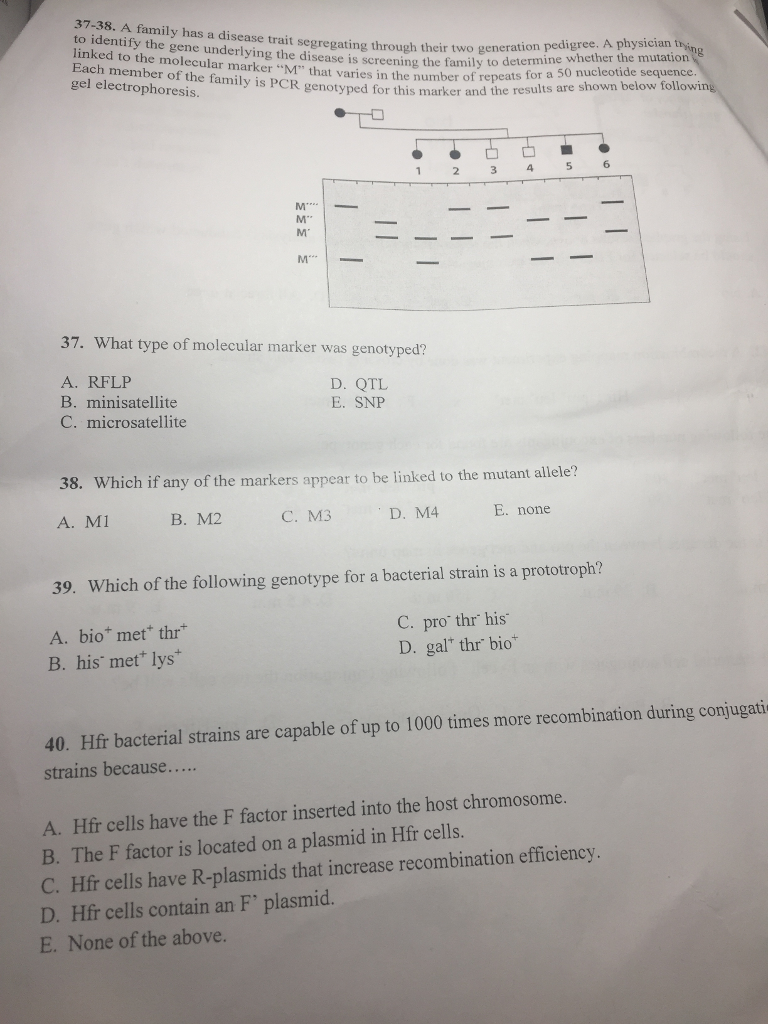 Solved 37-38. A family has a disease trait to identify the | Chegg.com