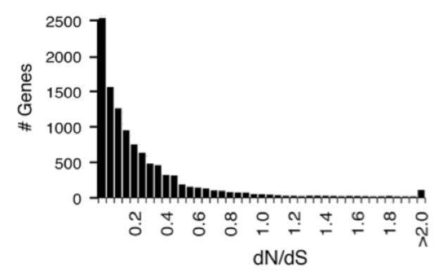 Solved The dN/dS ratio is one way to detect natural | Chegg.com