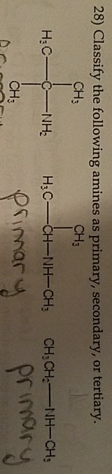 Solved 23) Classif the following amines as primary, | Chegg.com