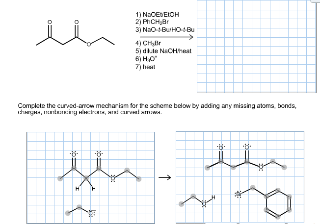 Solved 1) NaOEt/EtOH 2) PhCH2Br 3) NaO-t-BulHO-t-Bu 4) CH3Br | Chegg.com