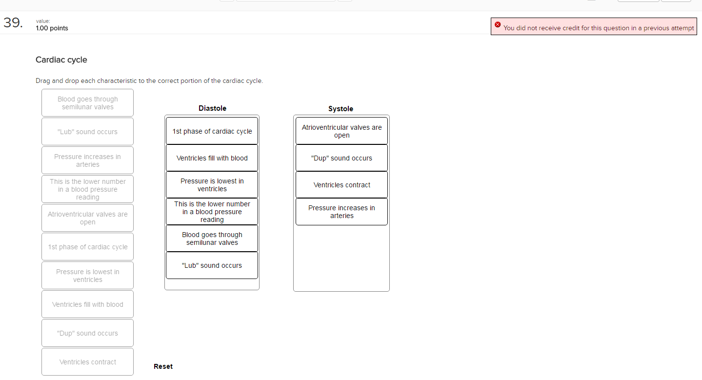 Solved Cardiac cycle Drag and drop each characteristic to | Chegg.com